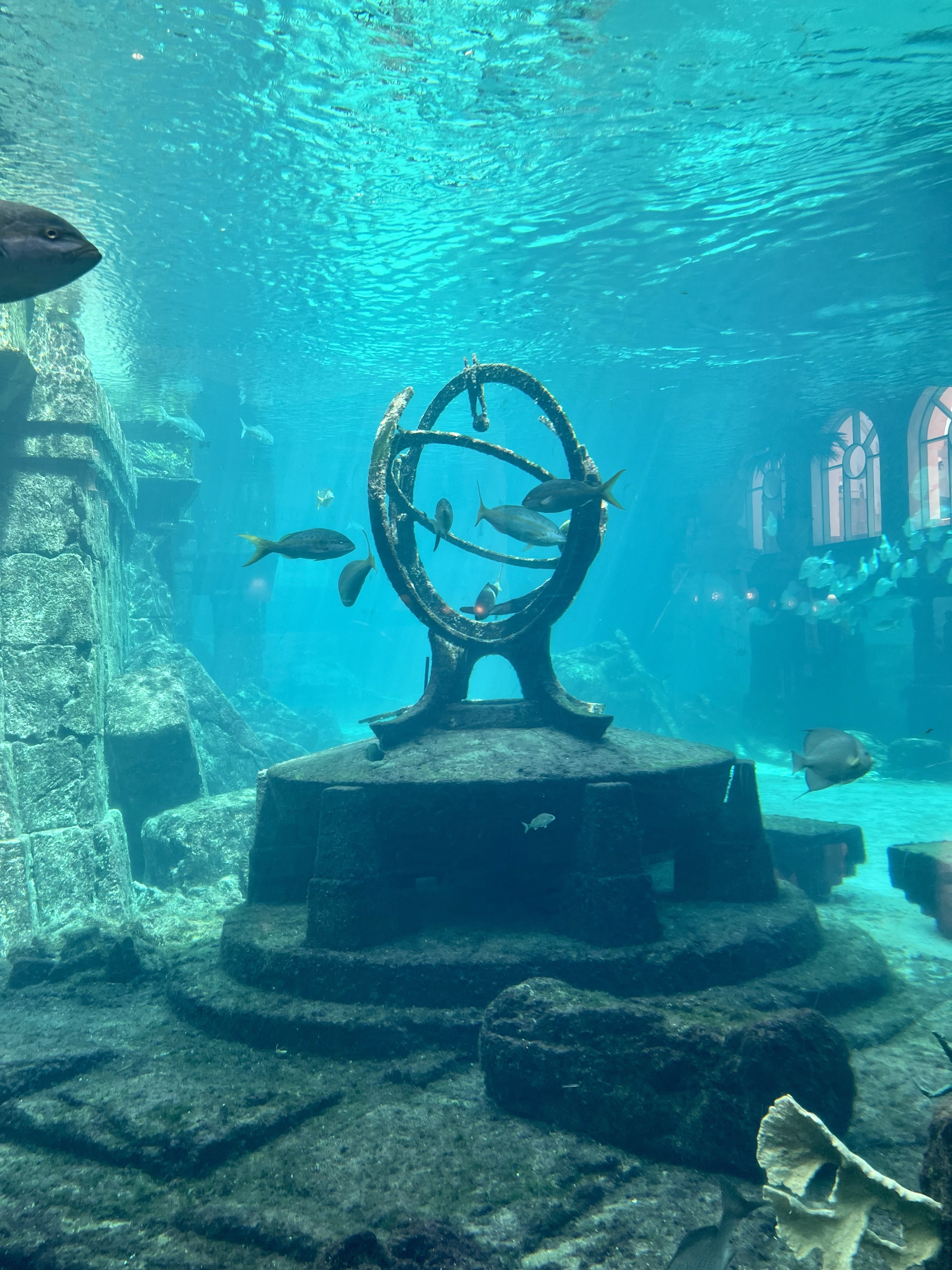 Atlantis Resort Review: $200 per person worth of fun? – Deen on Deck ...